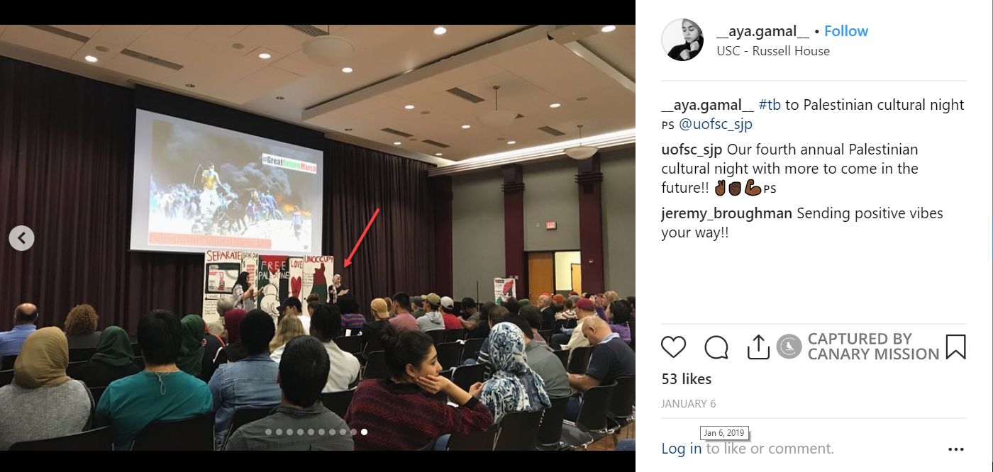 Aya Gamal - Canary Mission