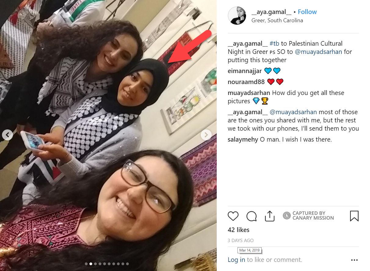 Aya Gamal - Canary Mission