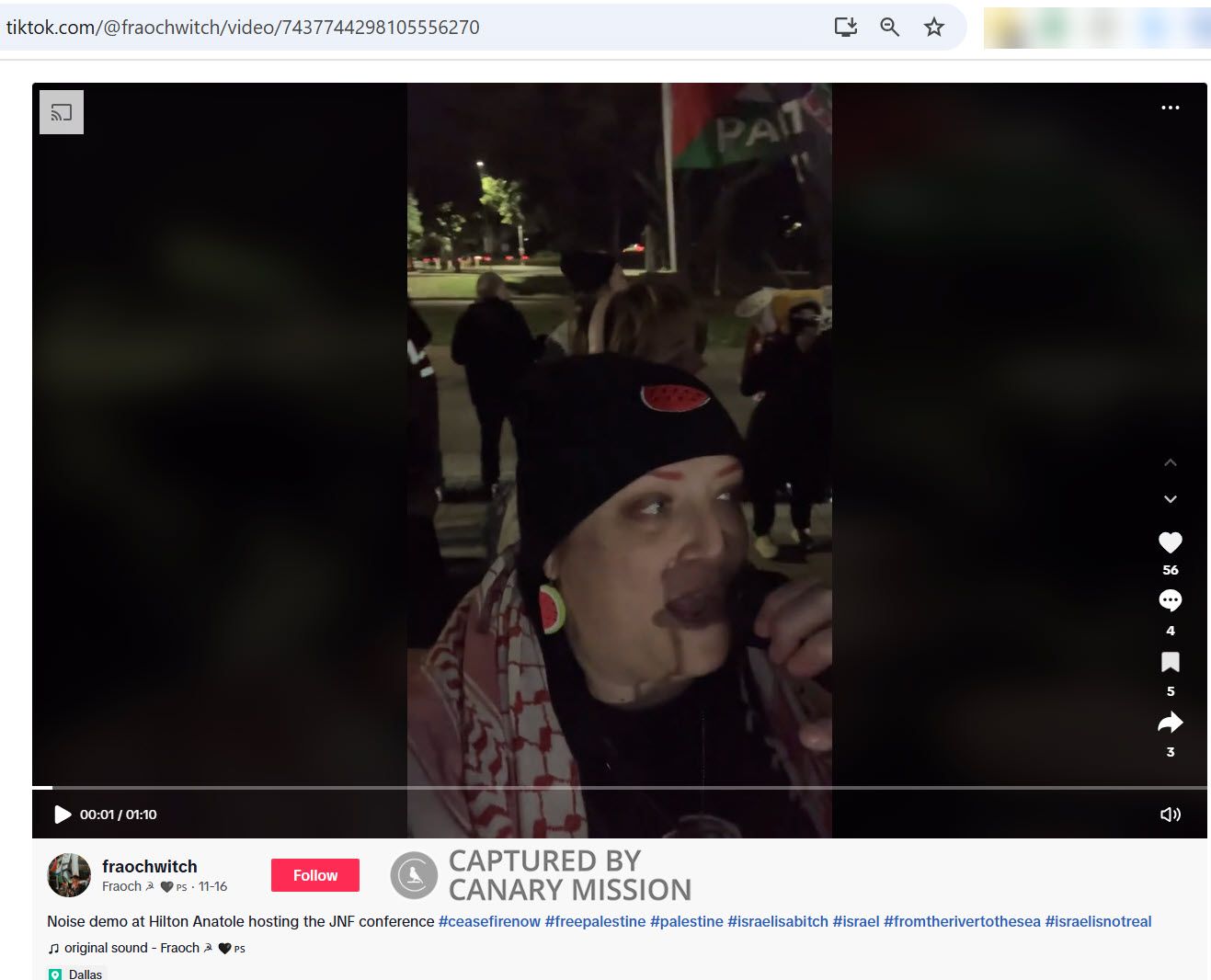 Heather Cargill - Canary Mission