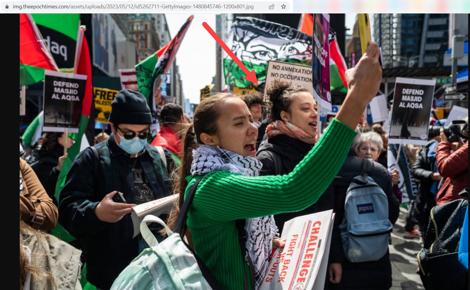 Laura Waldman - Canary Mission