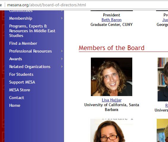 Lisa Hajjar - Canary Mission