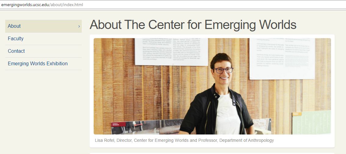 Lisa Rofel - Canary Mission