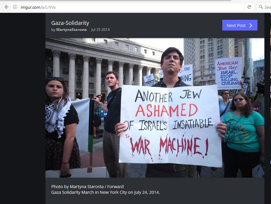 Max Weiss - Canary Mission