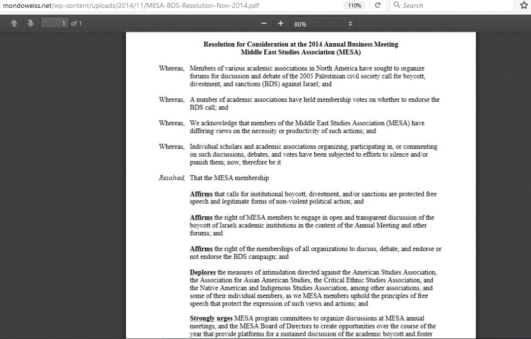 Mervat Hatem - Canary Mission