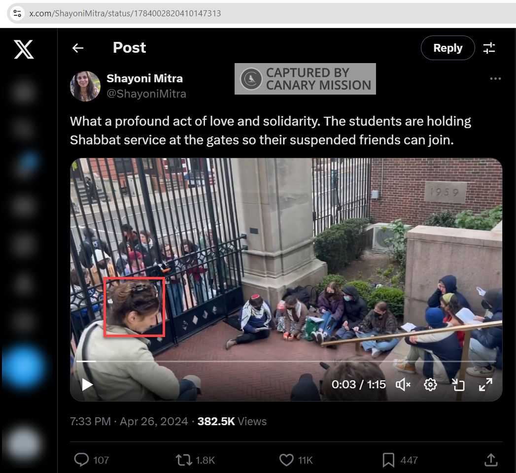 Nina Berman - Canary Mission