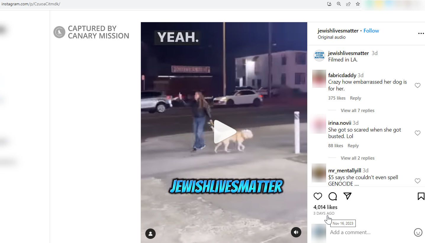 Olya Tizer - Canary Mission