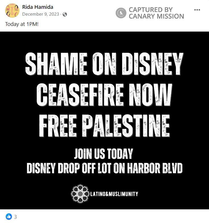 Rida Hamida - Canary Mission