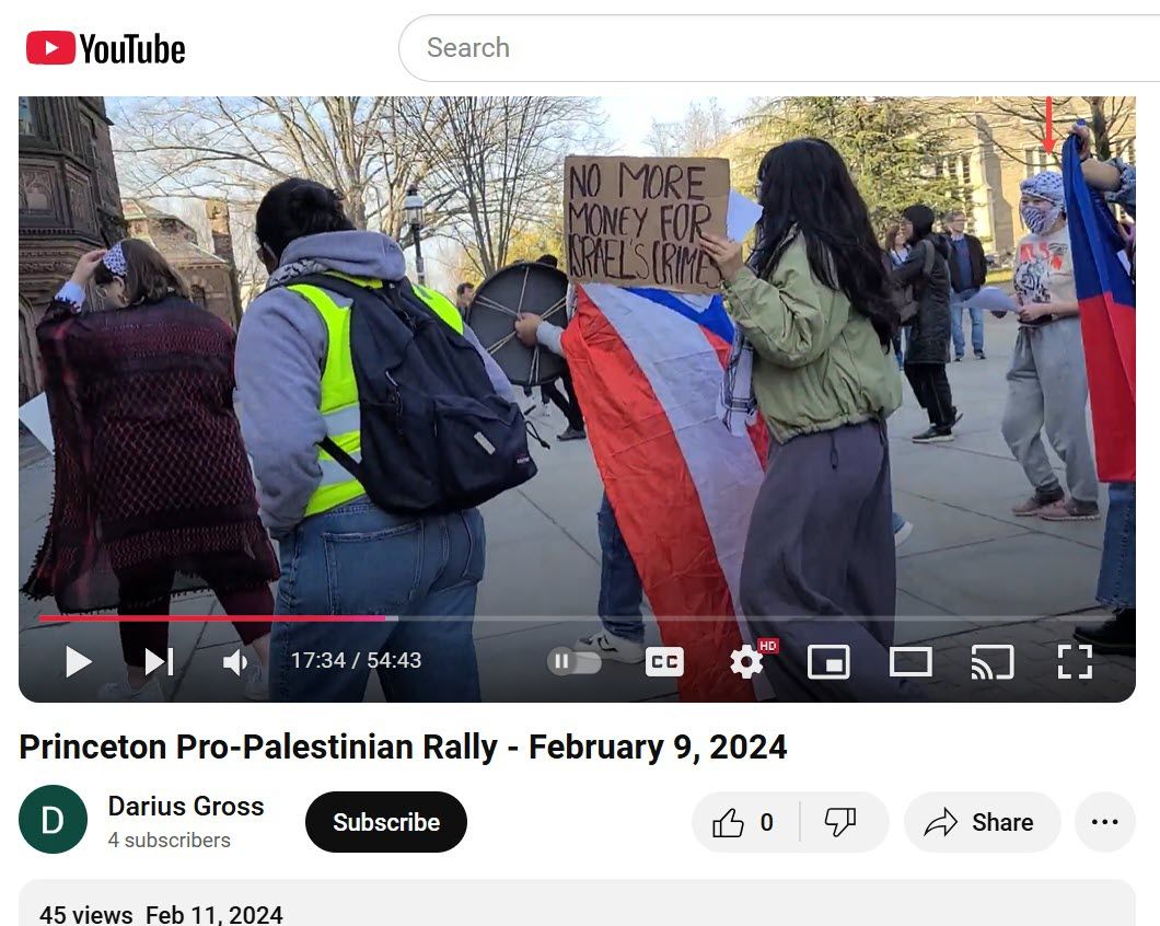 Ellen Li - Canary Mission